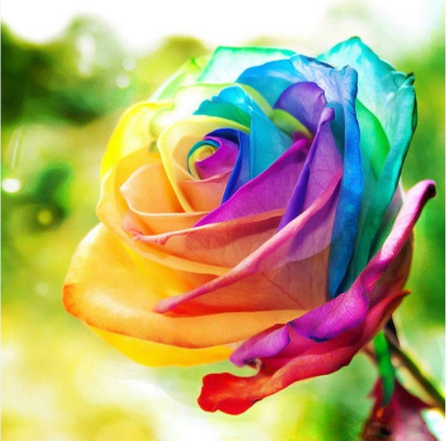 Rainbow Rose - Diamond Painting Kit – Stiylo