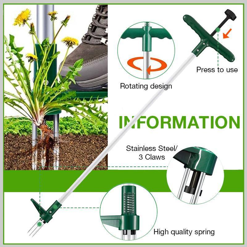 Standing Plant Root Remover – Stiylo